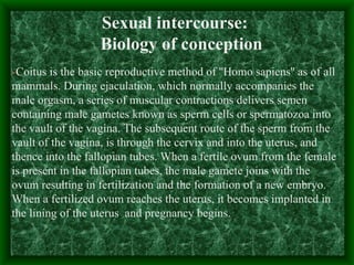 Human sexual intercourse | PPT