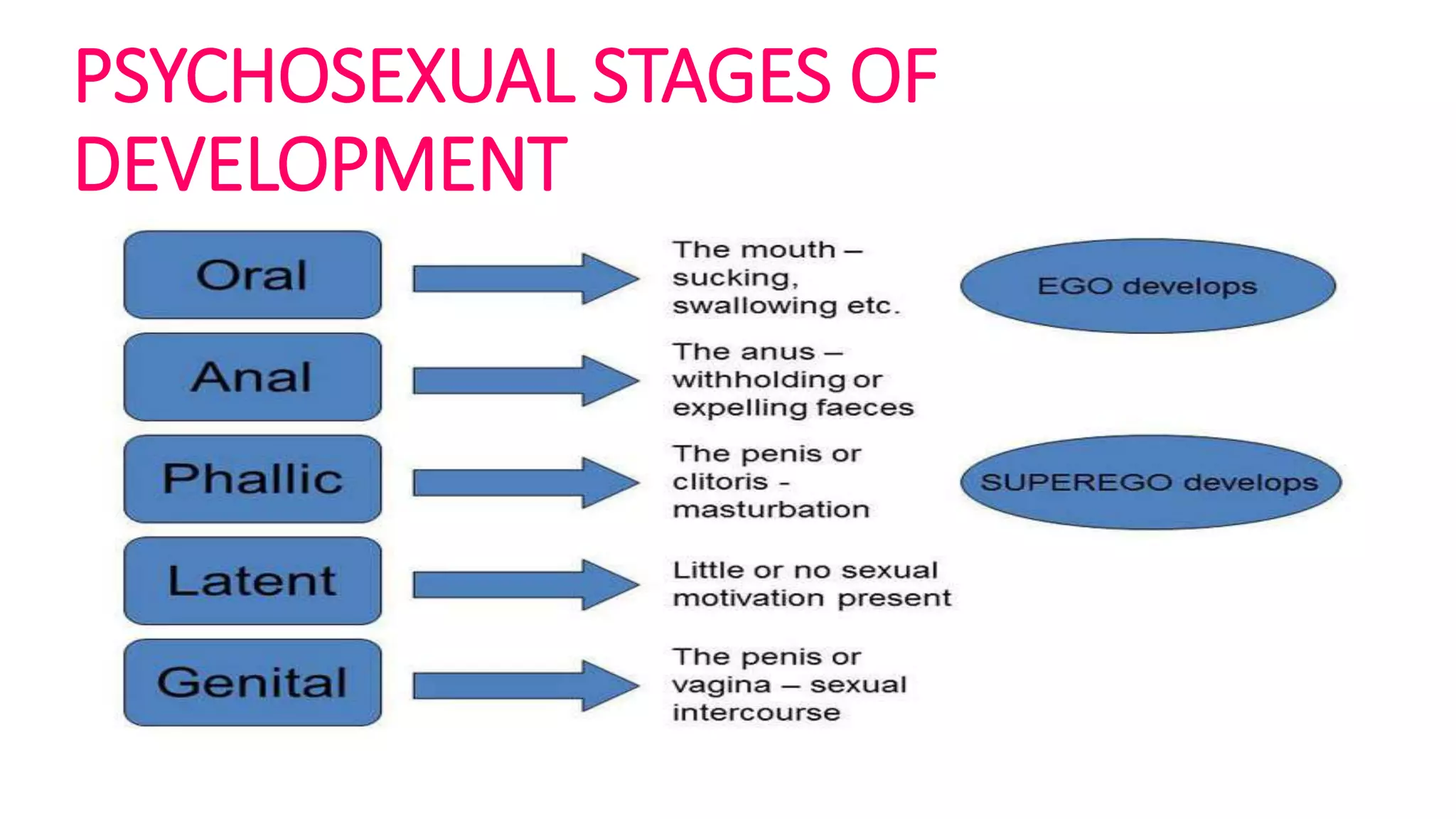 Human Sexuality Ppt