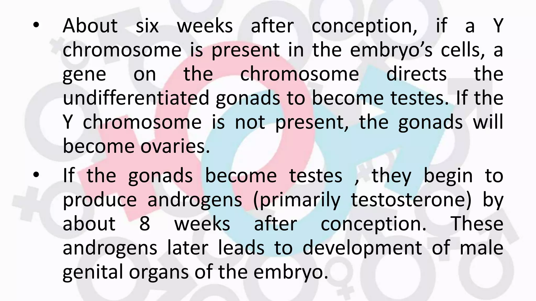 HUMAN SEXUALITY | PPSX