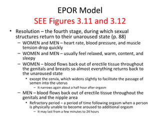 HLT 200: Human Sexuality Chapter 3 | PPT