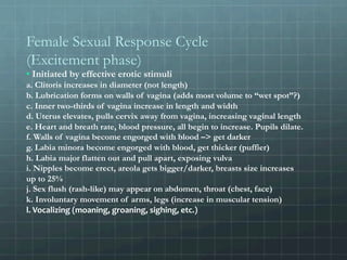 Human sexual response -nw | PDF