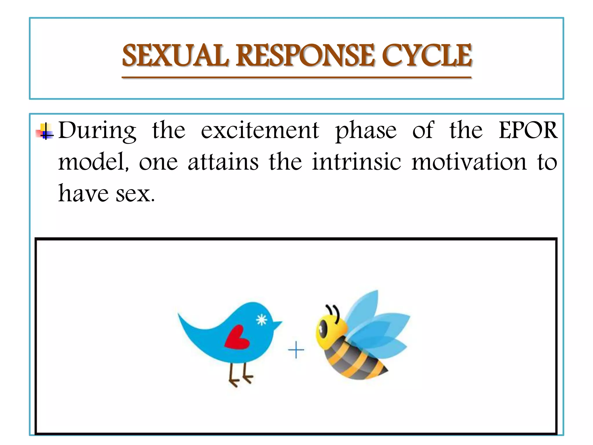 Human Sexuality And Human Sexual Response Cycle Ppt