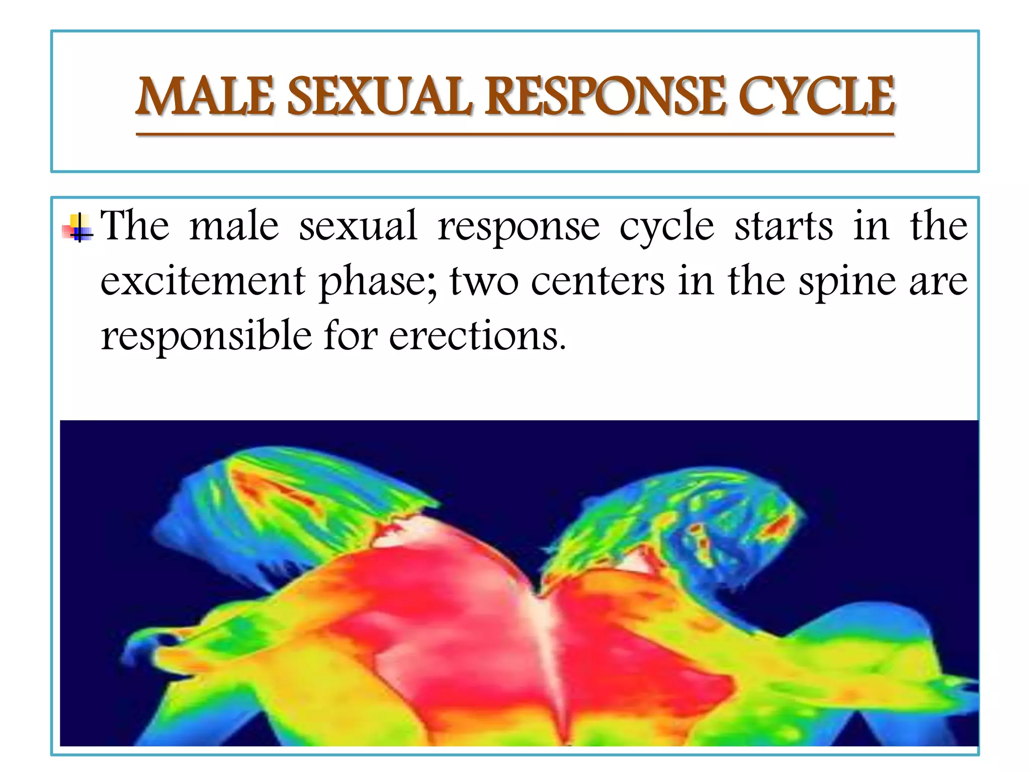 Human Sexuality And Human Sexual Response Cycle Pptx Sexual Conditions Sexual Health