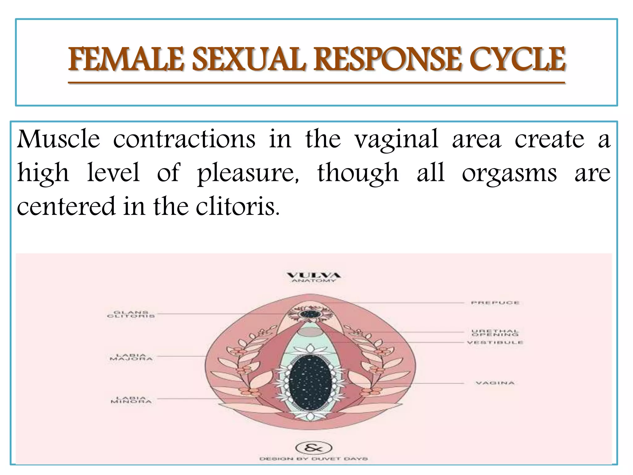 Human Sexuality And Human Sexual Response Cycle Pptx