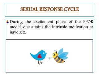 Human sexuality and human sexual response cycle | PPTX