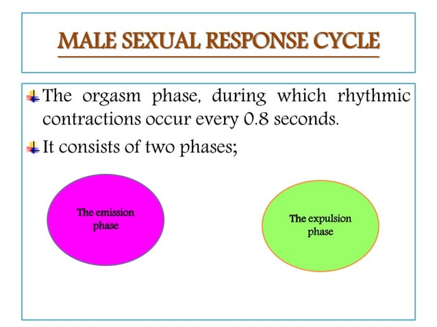 Human Sexuality And Human Sexual Response Cycle Pptx Sexual