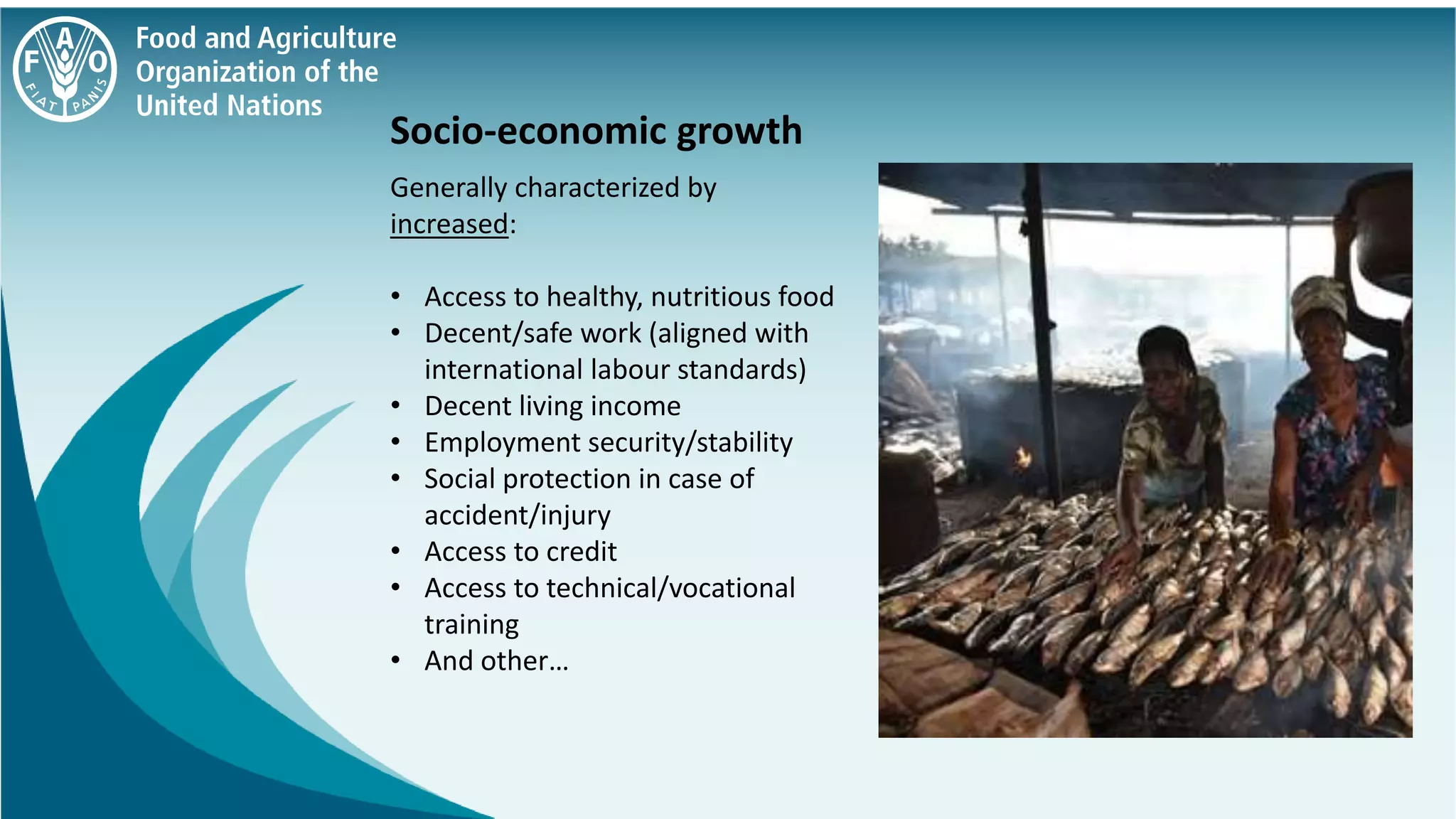 Humans fish and the future | PPT