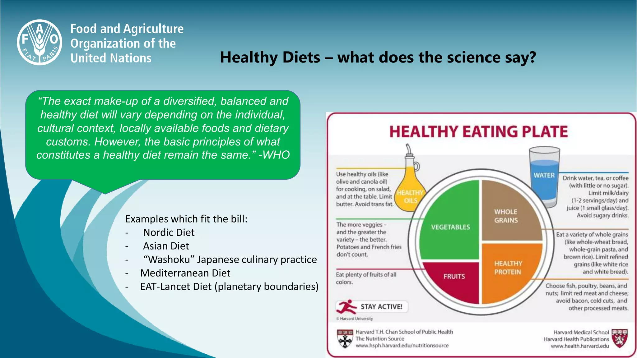 Humans fish and the future | PPT