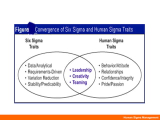 Humansigma | PPT