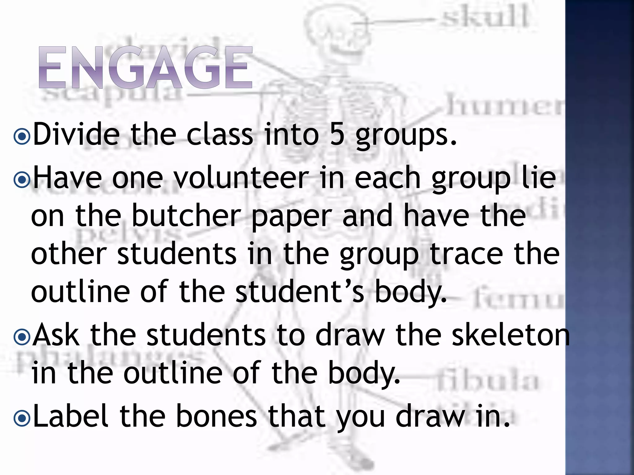 Human skeletal system | PPTX