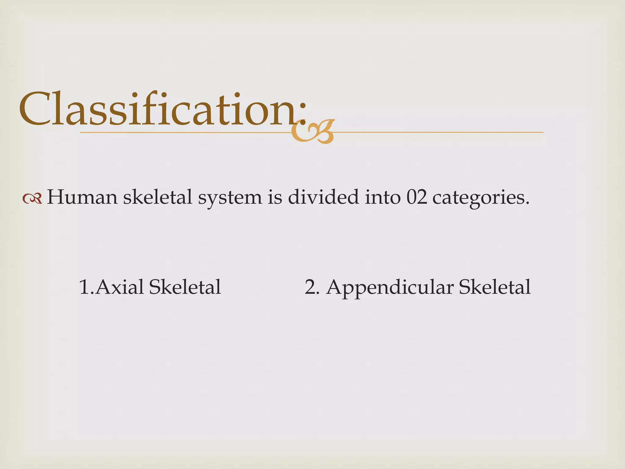 "Human skeletal system" | PPTX
