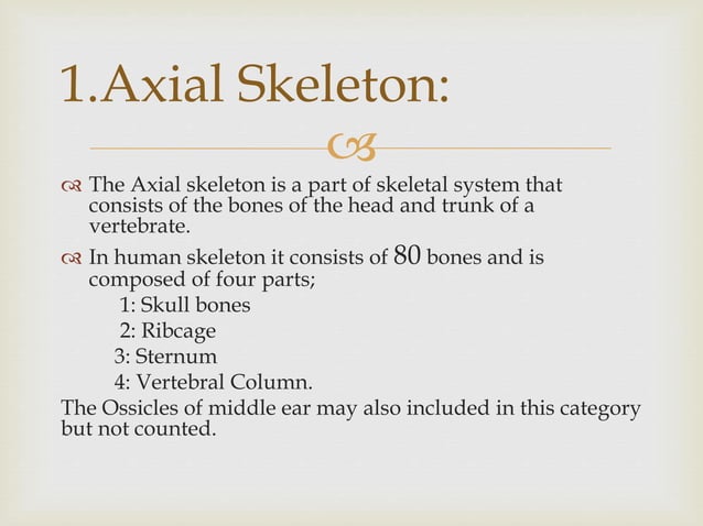 "Human skeletal system" | PPTX | Death, Injury, or Military Conflict | Sensitive Topics