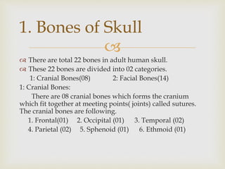 "Human skeletal system" | PPTX