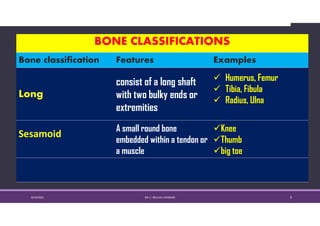 Human skeletal system | PDF