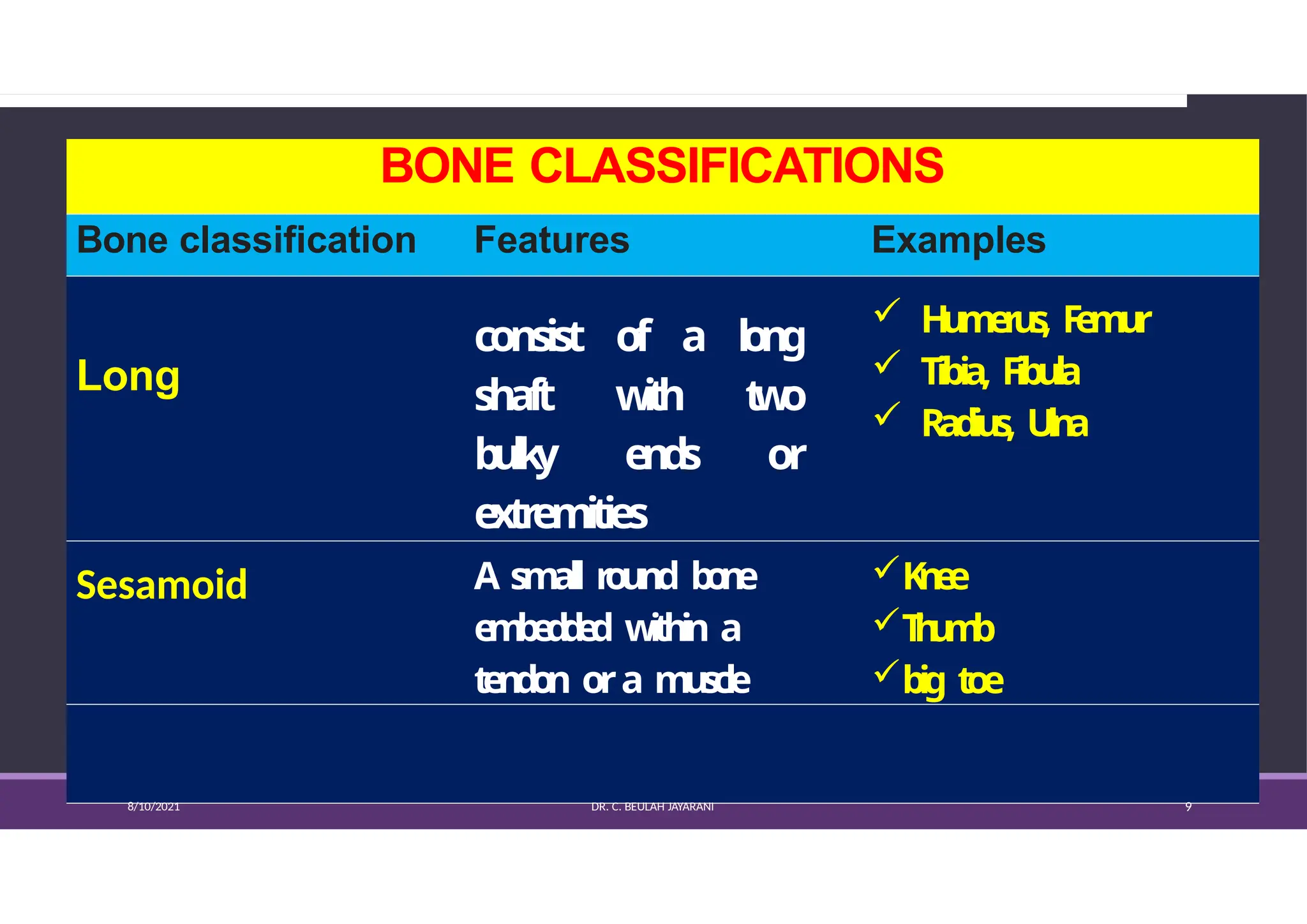 human skeletal system HUMAN BODY.pptx