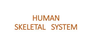 Human skeletal system( bones& movement) | PPT
