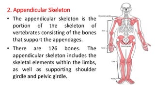 Human Skeletal System -Archana Gangwar M.Sc. I year.pptx