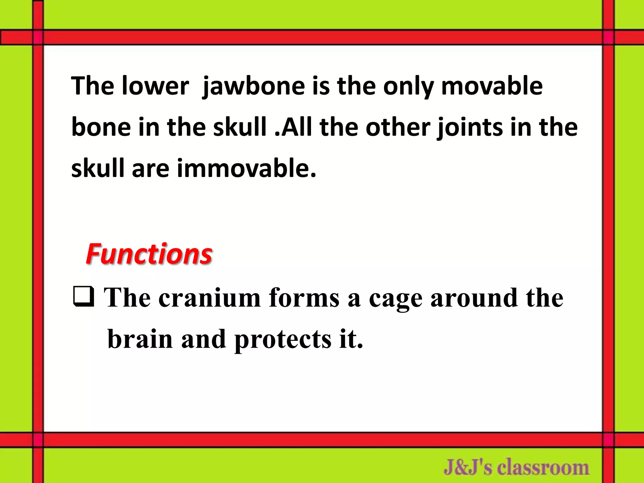 parts of human skeleton and it's functions | PPT