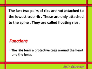 parts of human skeleton and it's functions | PPT