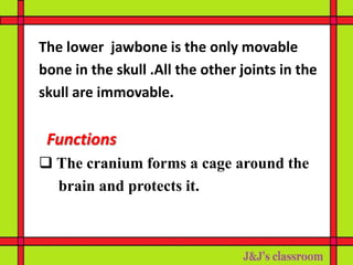 parts of human skeleton and it's functions | PPTX