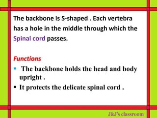 parts of human skeleton and it's functions | PPT