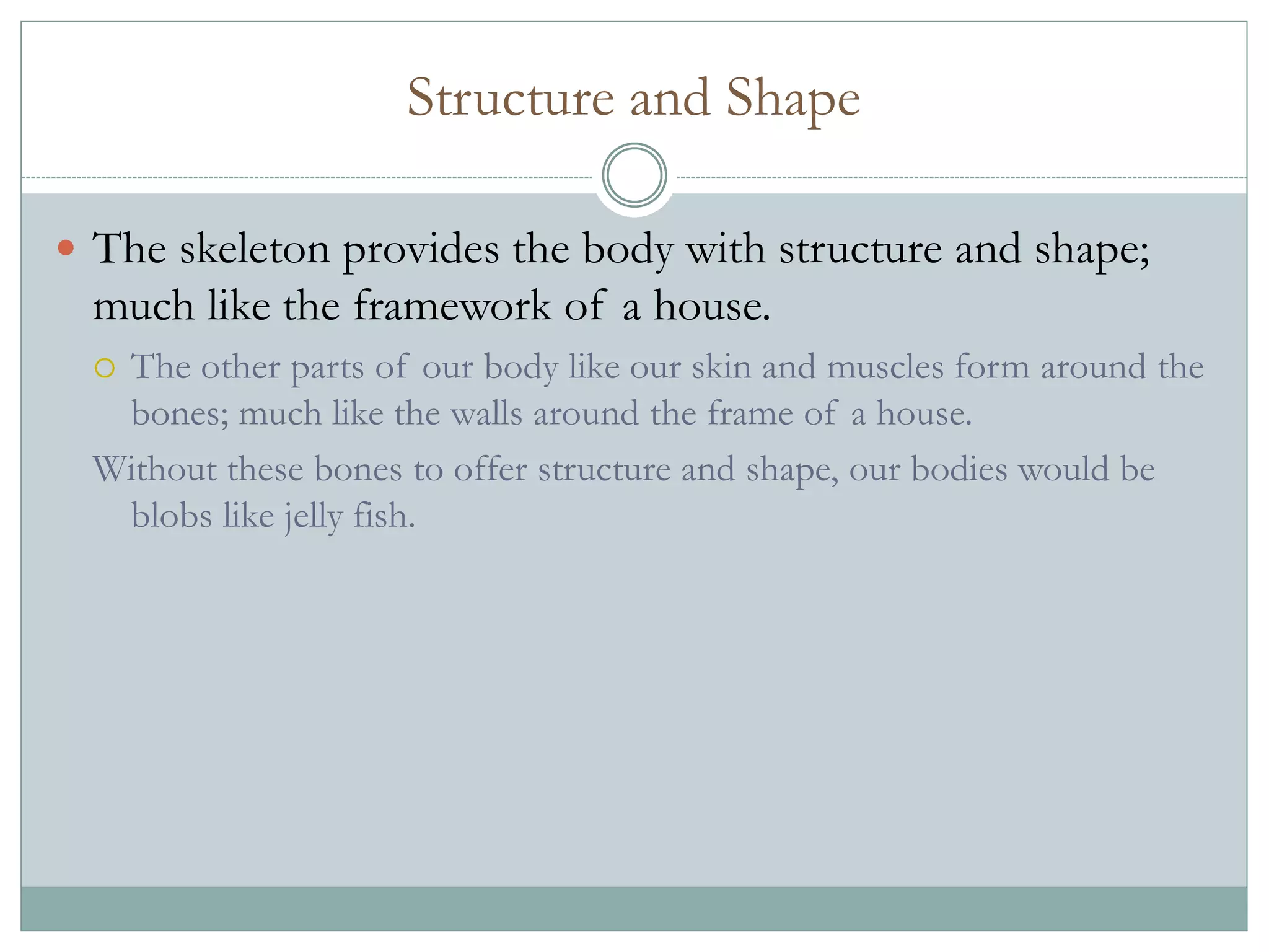 Human skeleton. | PPT
