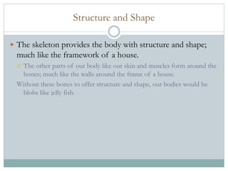Human skeleton. | PPT