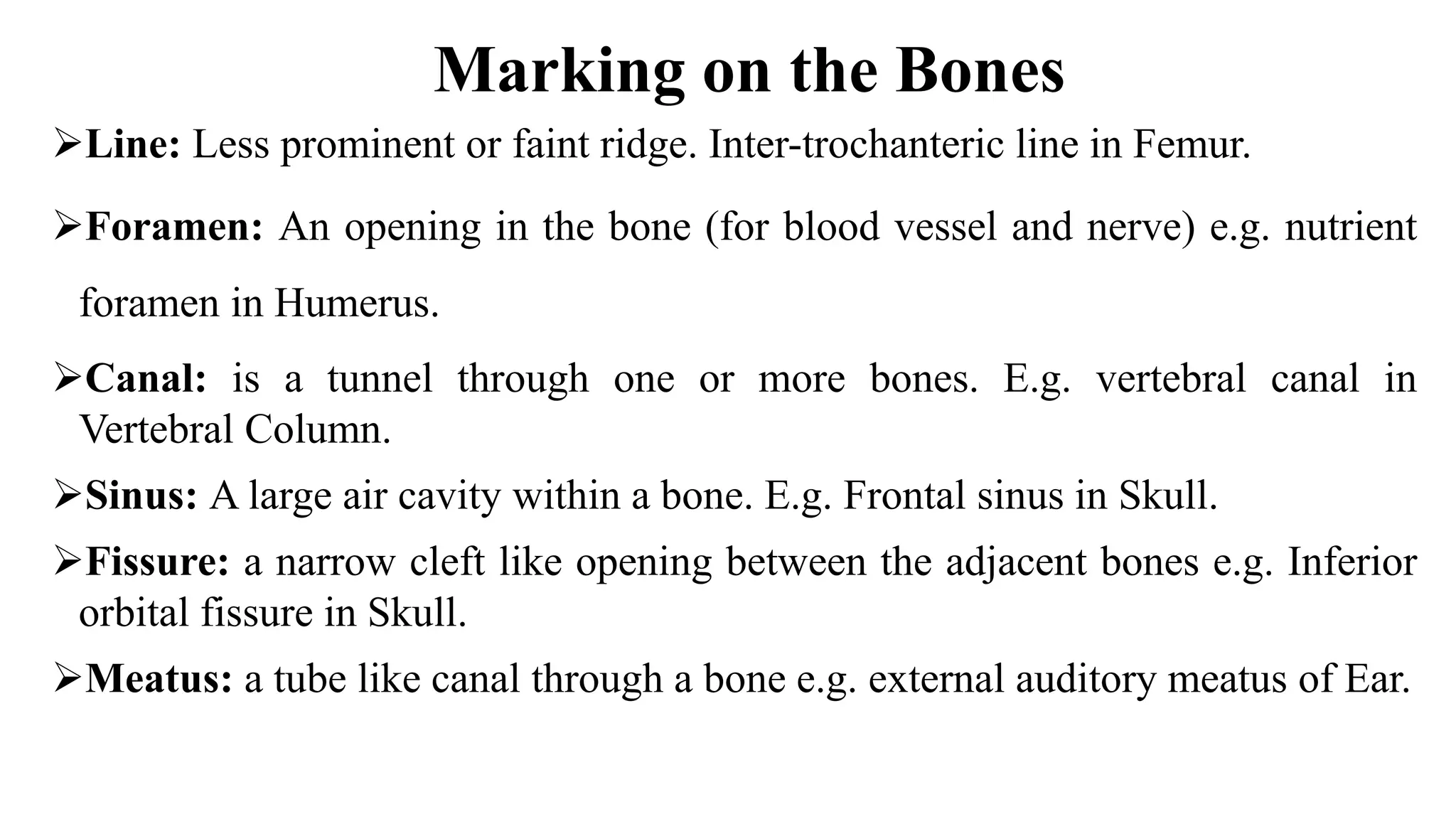 Human skeleton pptx. Punjab cuvas bhawalpur | PPTX