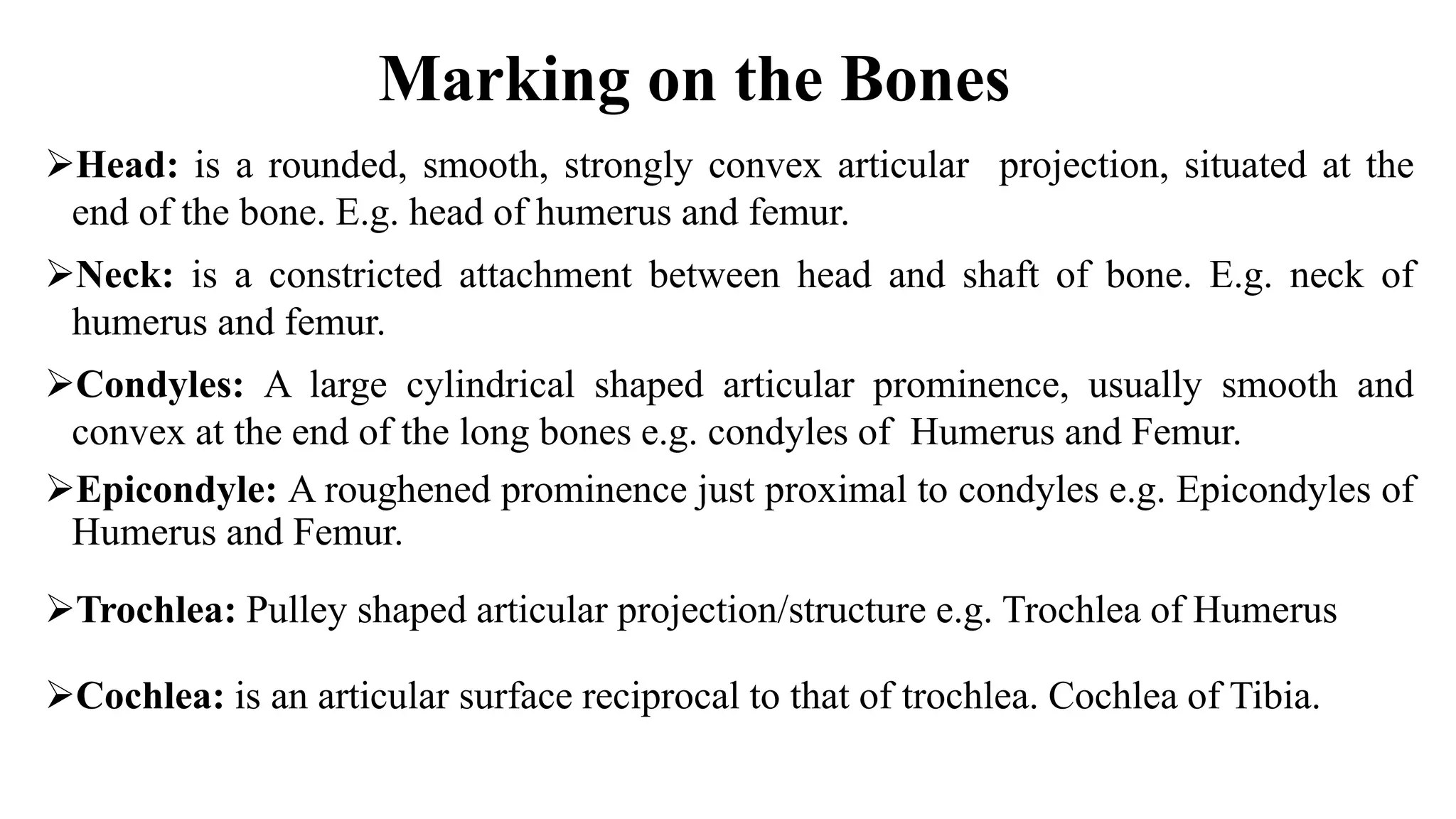 Human skeleton pptx. Punjab cuvas bhawalpur | PPTX