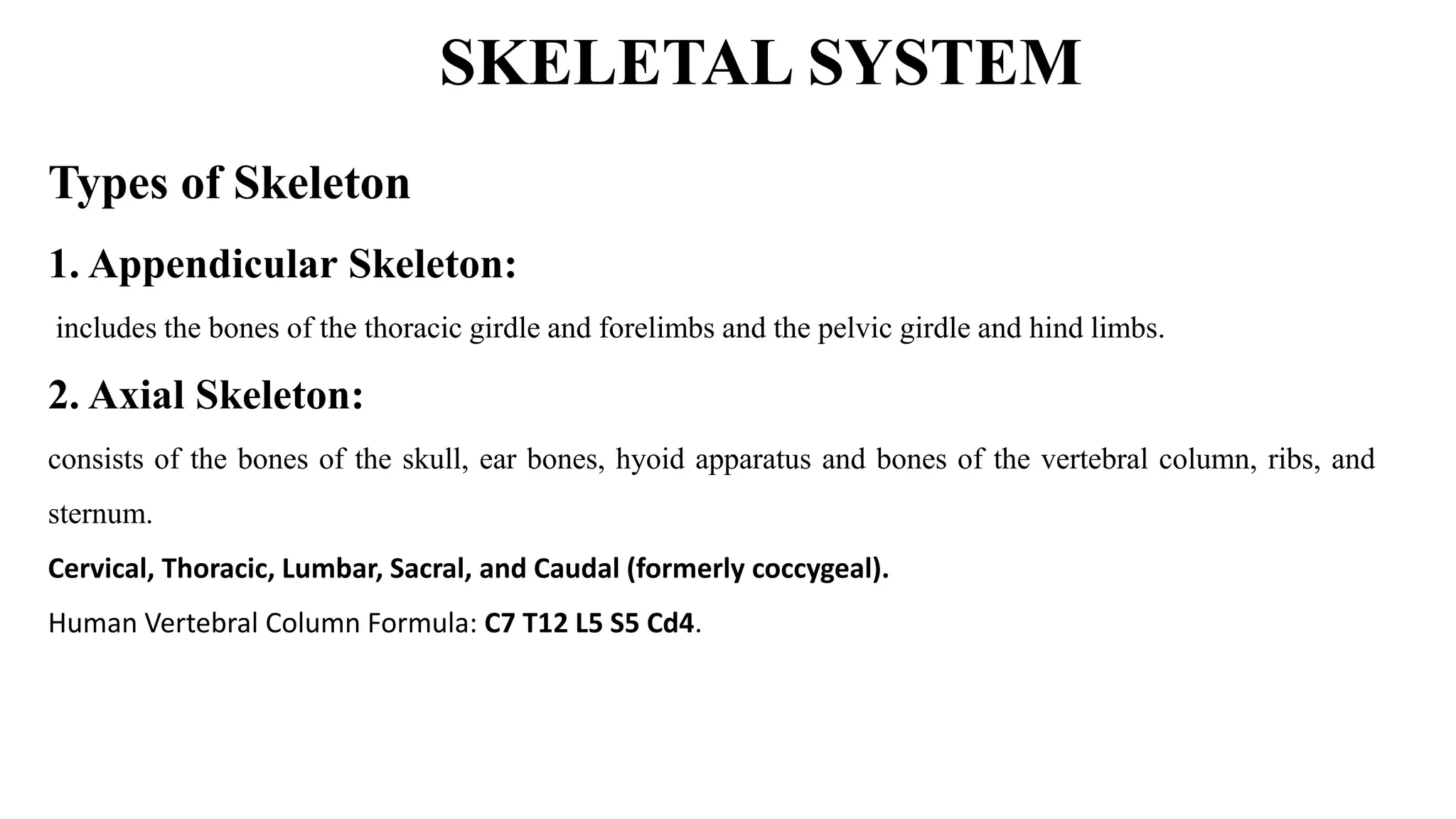 Human skeleton pptx. Punjab cuvas bhawalpur | PPTX