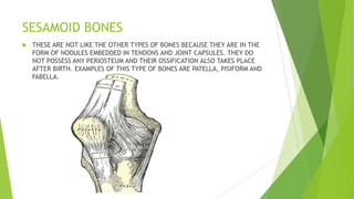 Human skeleton and types of bones | PPTX