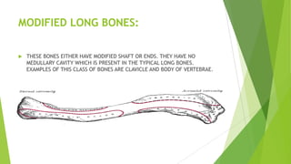 Human skeleton and types of bones | PPTX