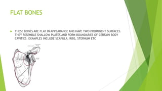 Human skeleton and types of bones | PPTX