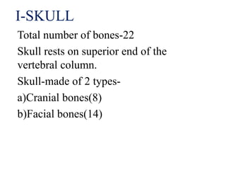 Human skeleton pss | PPTX