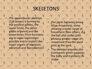 Human skeleton system | PPTX