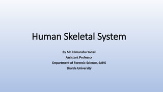 Human Skeleton System an Introduction of bones | PPTX