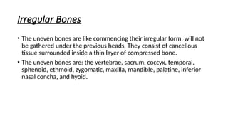 Human Skeleton System an Introduction of bones | PPTX