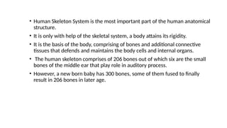 Human Skeleton System an Introduction of bones | PPT