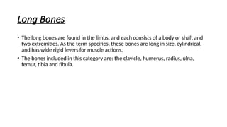 Human Skeleton System an Introduction of bones | PPTX