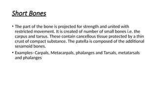 Human Skeleton System an Introduction of bones | PPT