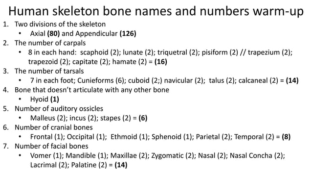 Human skeleton bone name and numbers warm up | PPTX