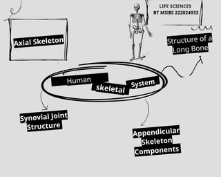Human skeletal system final work.pptx slides | PPTX