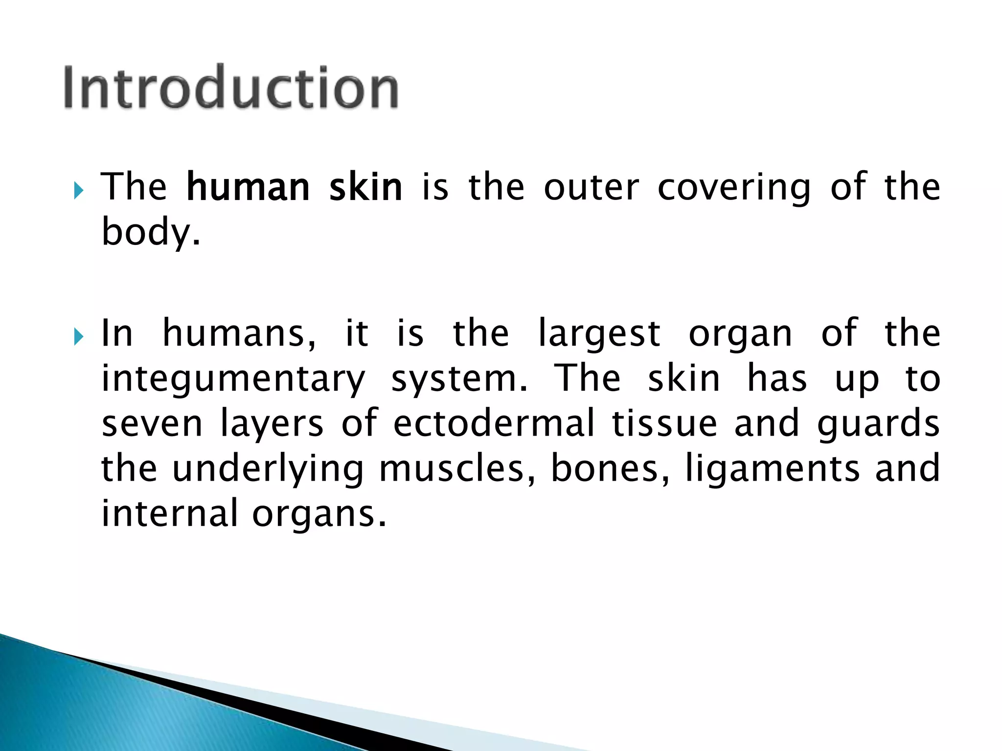 Human skin | PPTX