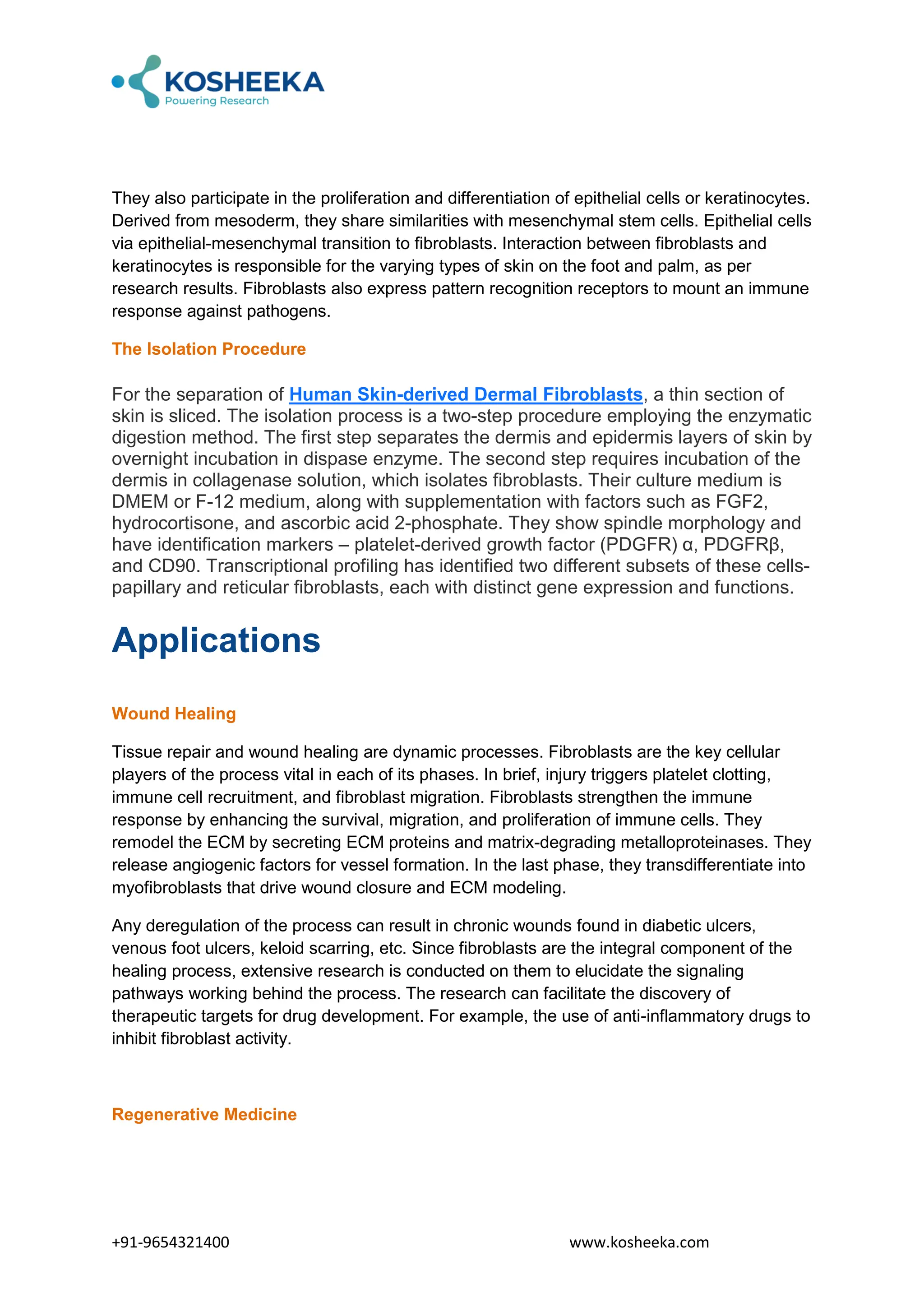 Human Skin-Derived Dermal Fibroblasts: Key Players in Skin Homeostasis ...