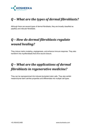 Human Skin-Derived Dermal Fibroblasts: Key Players in Skin Homeostasis ...