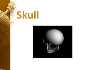 Human skull (Bones of Jaw) | PPTX | Death, Injury, or Military Conflict ...