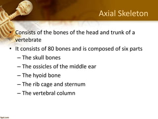 Human skull (Bones of Jaw) | PPTX