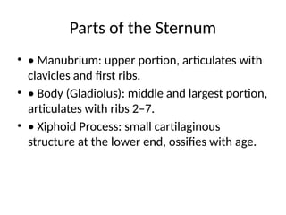 Human_Sternum_Anatomy_Presentation1.pptx