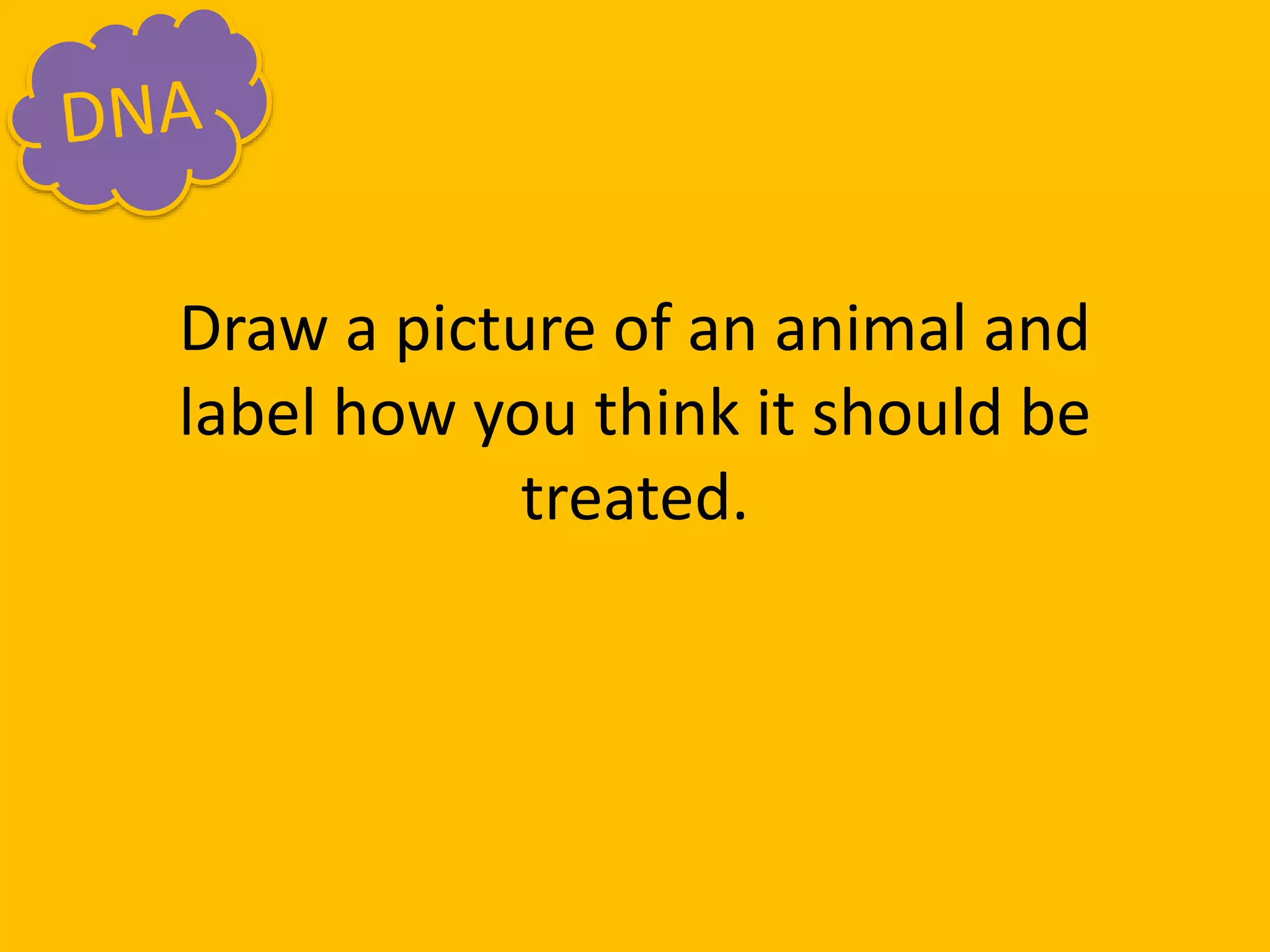 Humans vs animals | PPTX