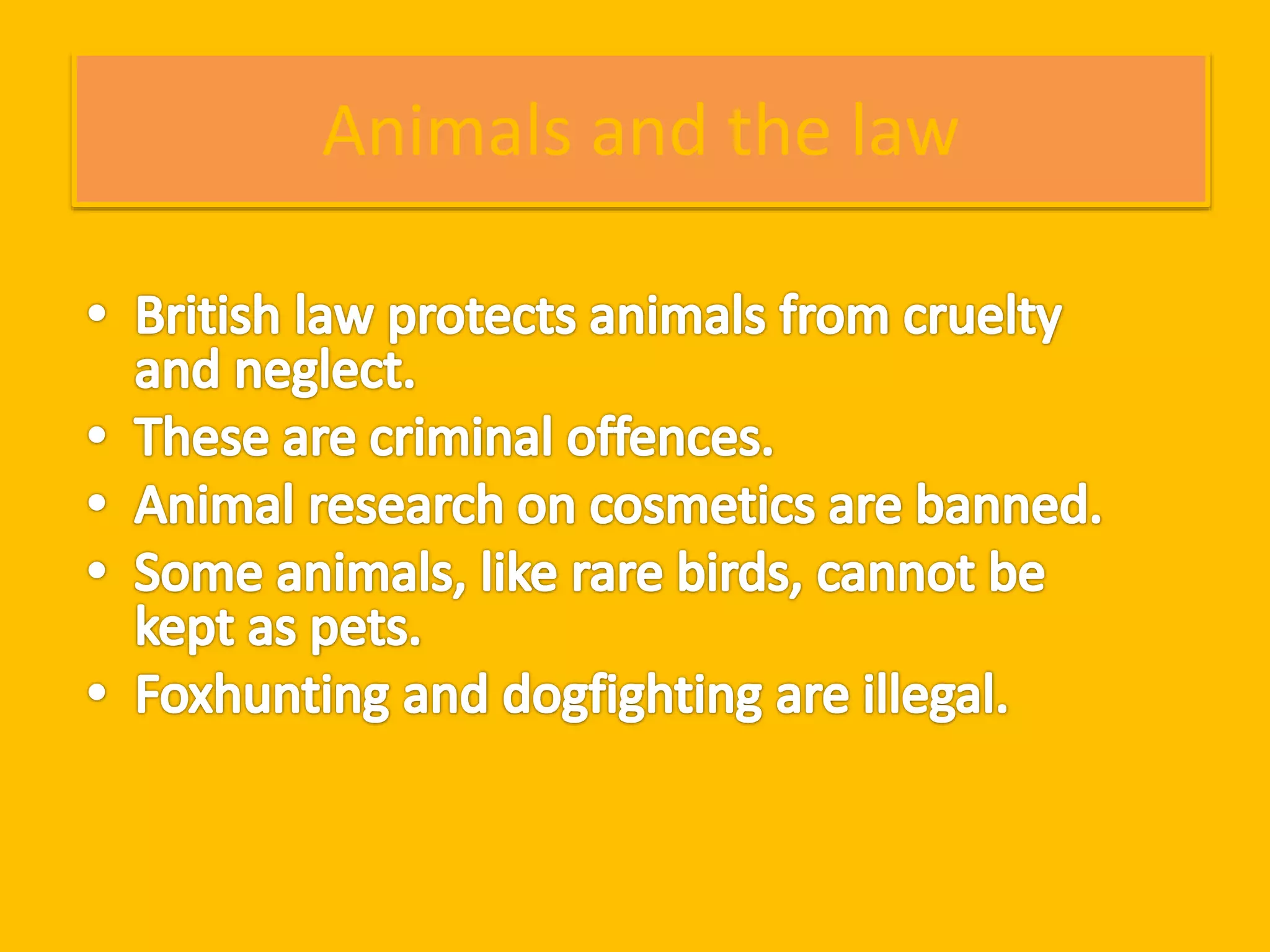 Humans vs animals | PPTX